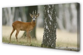 Obrazy na plátně jelen lesní 125x50 cm