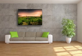 Obraz Tenerife Velikost (šířka x výška): 120x80 cm