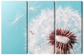Vícedílný obraz Pampeliška Květ V Makro Měřítku Nedostatek Nedostatek Plátno Canvas 150x100