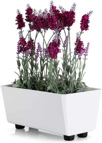 Truhlík s nožičkami Salvia 28,5x17 cm - výběr z 8 provedení