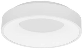 Stropní svítidlo LED se stmíváním Rando Thin 38 3000K bílé