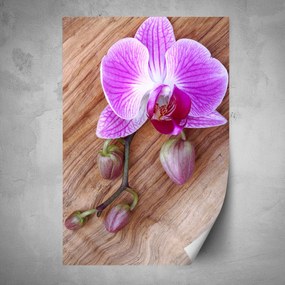 Plakát - Orchidej na dřevě (80x120 cm) - PopyDesign