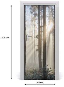 Fototapeta na dveře mlha v lese 85x205 cm