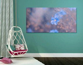 Obraz modré květy na vintage pozadí - 100x50 cm
