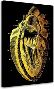 Obraz na plátně, Srdce 80x120