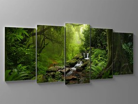 Liox Obraz deštný prales Rozměr: 250 x 110 cm