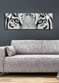 Obraz s led osvětlením White Tiger 90x30 cm