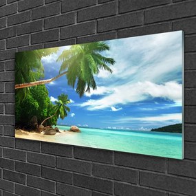 Obraz na skle Palma Pláž Moře Krajina 140x70 cm