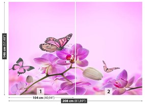 Fototapeta Orchid Motýl 104x70