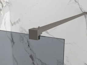Erga Paris, sprchová zástěna Walk-In 60x200 cm, 8mm šedé sklo, grafitový profil, ERG-V02-PARIS-060x200-GR-GG
