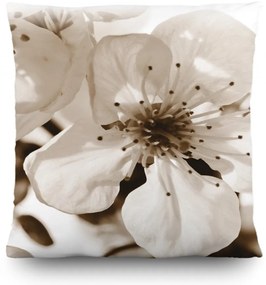 Foto polštář květy jabloně CN 3613 / Dekorativní fotopolštář 45 x 45 cm AG Design