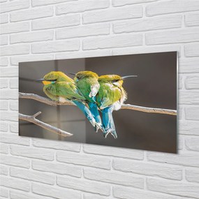 akrylový obraz Ptáci na větvi 100x50 cm