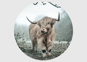 Samolepící vliesová fototapeta na zed' Majestátný Skot | 70 x 70 cm | DCR3229
