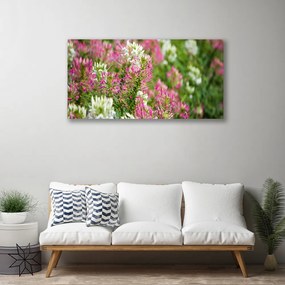 Obraz na plátně Polní Květiny Louka Příroda 125x50 cm