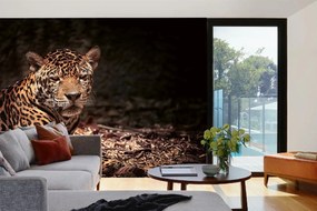 DIMEX | Samolepicí vliesová fototapeta na zeď Ležící leopard MA-5-0538 | 375 x 250 cm | béžová, černá, hnědá