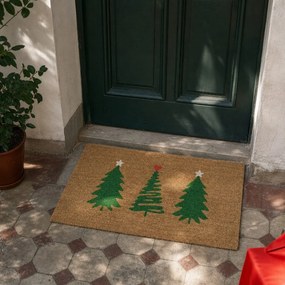 Rohožka s vánočním motivem 45x75 cm Mix Mats – Hanse Home