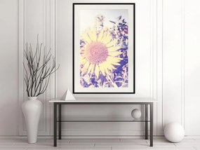 Plakát Slunečnice - letní kompozice žlutých květů na slunečné louce