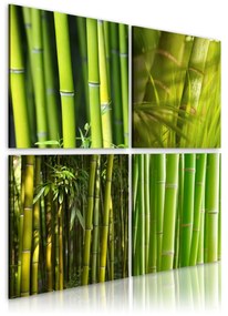 Obraz - Bamboos