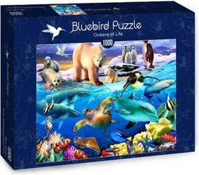 BLUEBIRD Puzzle Oceán života / 1000 dílků / od 14 let