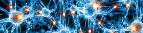 DIMEX | Fototapeta do kuchyně Nervové synapse KI-260-238 | 260 x 60 cm | modrá, černá, oranžová
