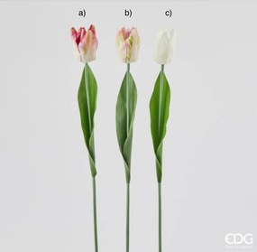 Tulipán mix EDG H54 barva / provedení: růžová