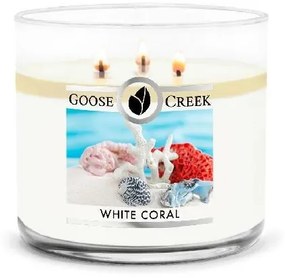 Goose Creek GOOSE CREEK Svíčka 0,41 KG WHITE CORAL, aromatická v dóze, 3 knoty