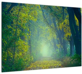 Skleněný obraz cesty lemované stromy (70x50 cm)
