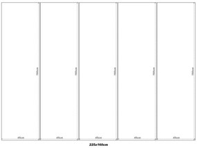 Gario 5 dílný fotoobraz na plátně Rozměry: 100 x 70 cm