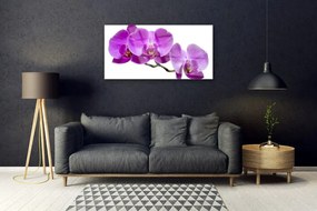 Obraz na skle Květiny 125x50 cm