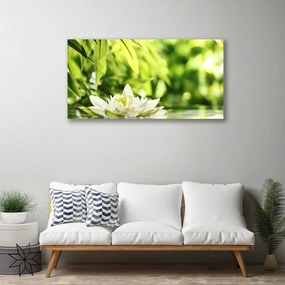 Obraz na plátně Květ Listy 140x70 cm