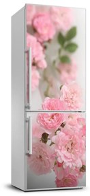 Wallmuralia Nálepka fototapeta na ledničku Divoká růže 60x180 cm