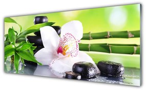 Plexisklo-obraz Orchidej Kameny Zen Bambus 125x50 cm
