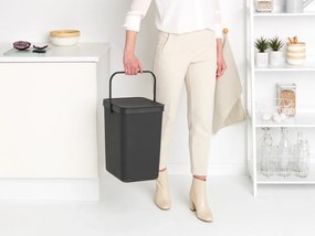 Brabantia Koš Sort&Go 25L šedá