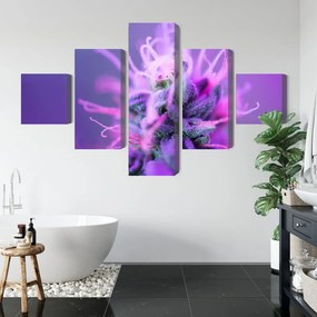 Vícedílný obraz Makro Rostlina Na Růžovo-Fialovém Pozadí Nedostatek Nedostatek Plátno Canvas 200x120