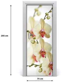 Samolepící fototapeta na dveře Orchidej 75x205 cm