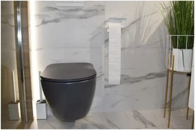 Deante Peonia Zero, závěsná WC mísa RimFree, 51 x 36 cm, antracitová-titanium, CDE_DZPW
