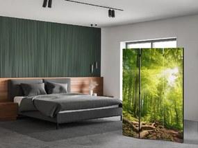 Liox Paraván kouzlo lesa Rozměr: 135 x 180 cm