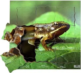Just Jigsaws 604 Žába a její životní cyklus - dřevěné vrstvené puzzle