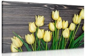 Obraz očarující žluté tulipány na dřevěném podkladě - 120x80 cm