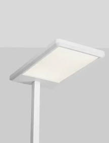 Moderní stojací lampa Biolight