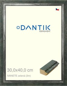 DANTIK rámeček 30x40 | IVANETE zelená (Plexi Čiré)