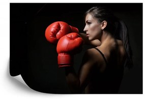 Fototapeta Krásný Boxer Hladký vinyl 300x210