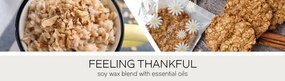 Goose Creek Candle svíčka Feeling Thankful, 411 g