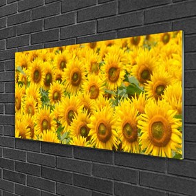 Obraz na skle Slunecznice Rostlina 120x60 cm