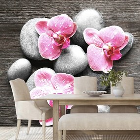 Samolepící fototapeta Zen kompozice s orchidejí - 225x150 cm