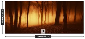 Fototapeta Strašidelný les 104x70