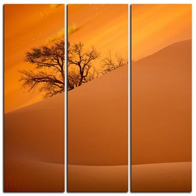 Obraz na plátně - Červené písečné duny - čtverec 3133B (105x105 cm)