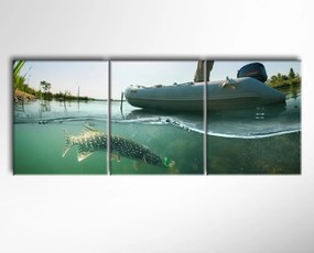 Malvis ® Obraz Rybář na člunu zdolává štiku ROZMĚR (šířka x výška): třídílný obdélník 150x60 cm