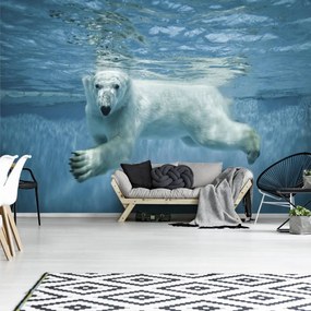 Fototapeta - Lední medvěd (254x184 cm)