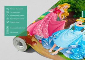 Dětská vliesová fototapeta na zed' Princezny v zahradě, Disney | 202 x 90 cm | DFTDNH 5378